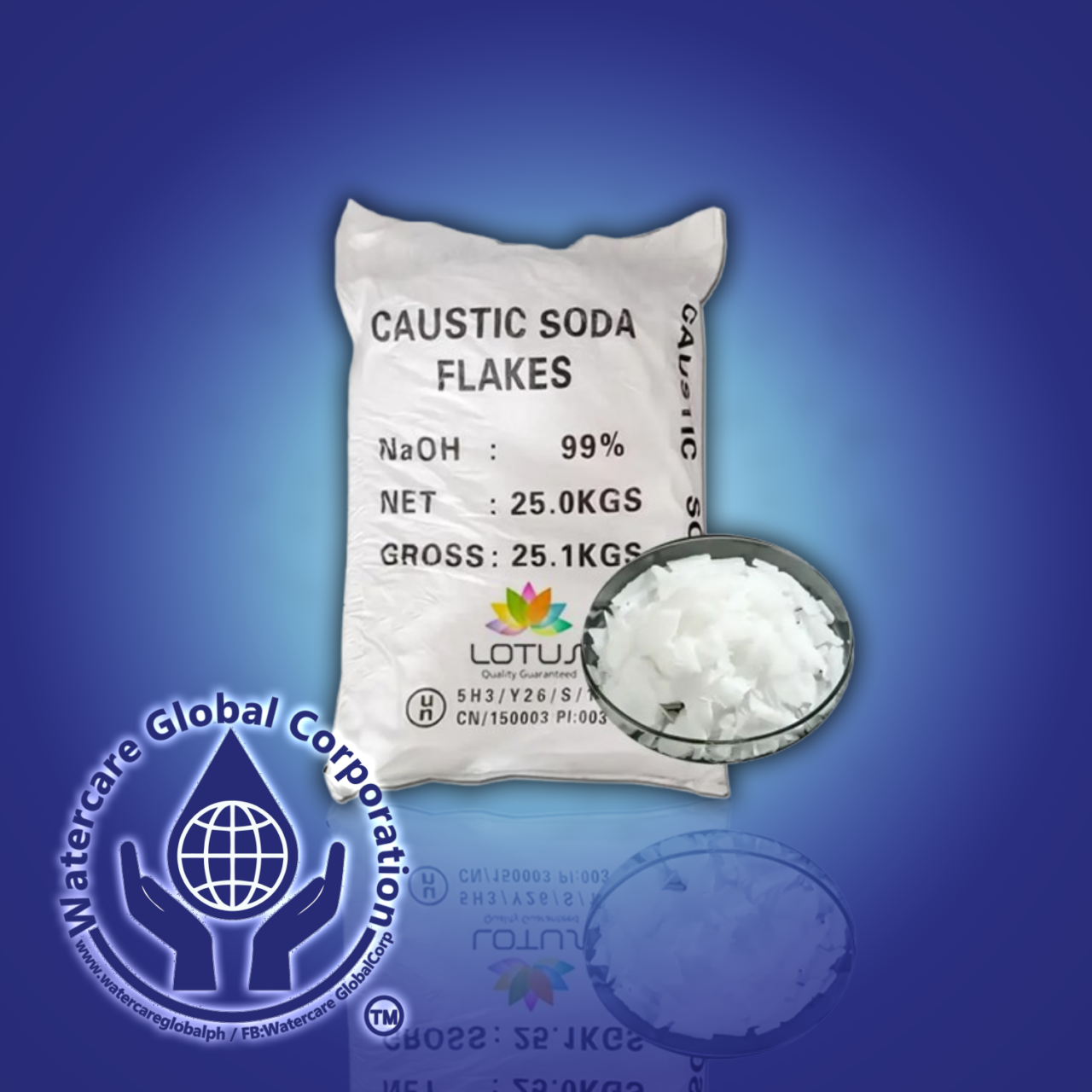 Caustic Soda Flakes 1kg KS - WaterCare Global Corporation